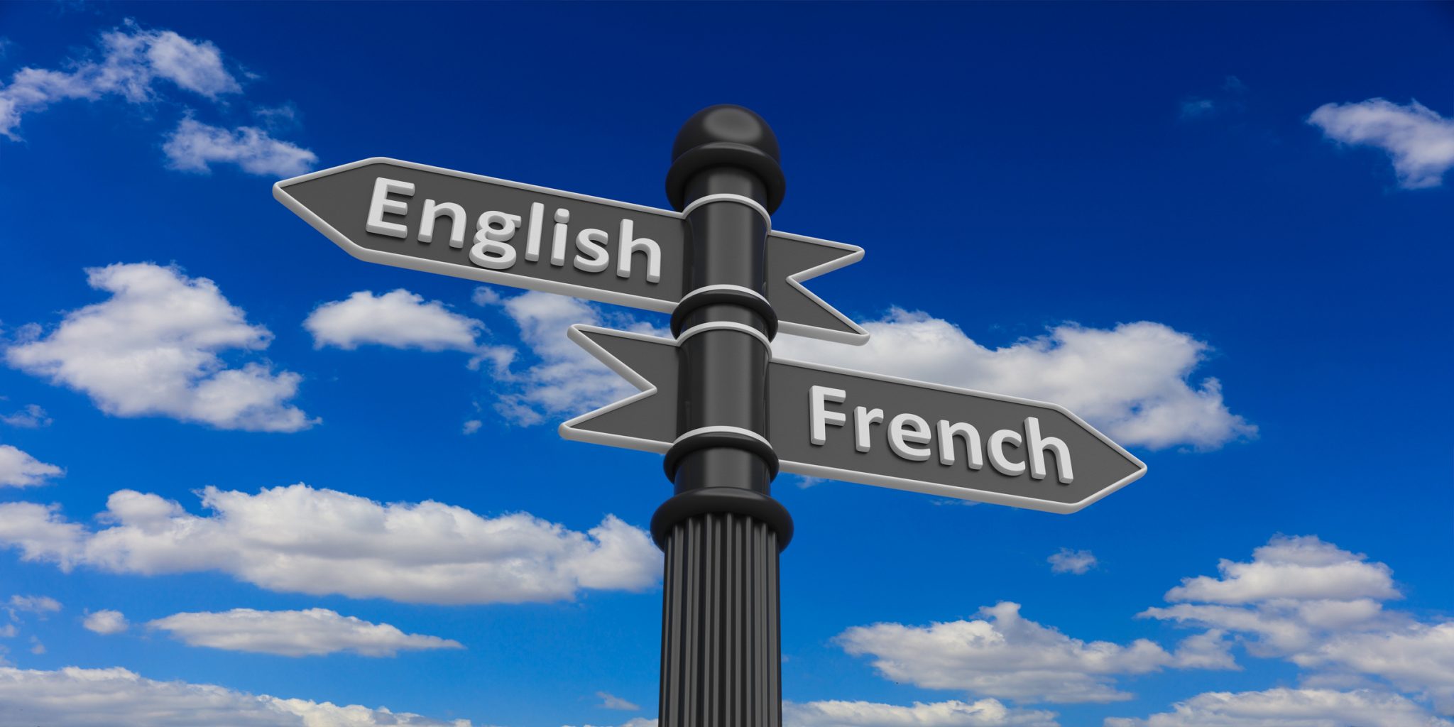 List of English and French Courses | BIU International School
