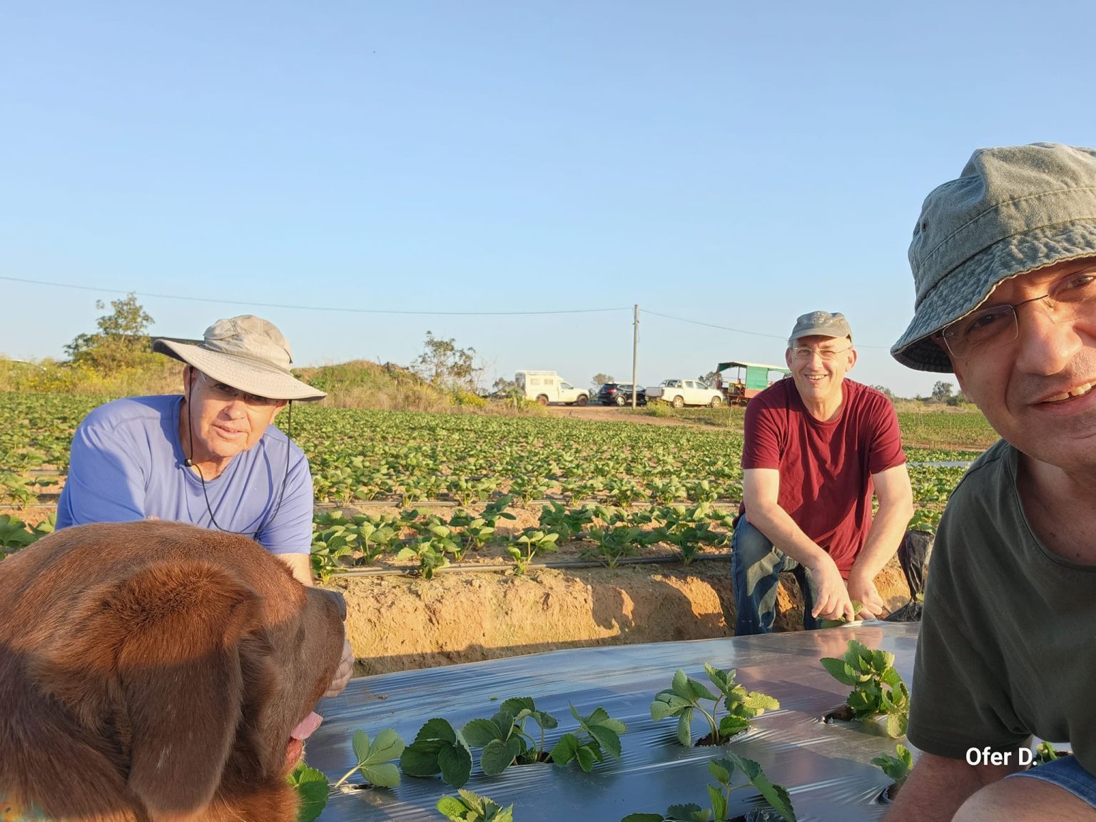 BIU International News: Helping Desperate Farmers Harvest Fruit and Vegetables | BIU ...