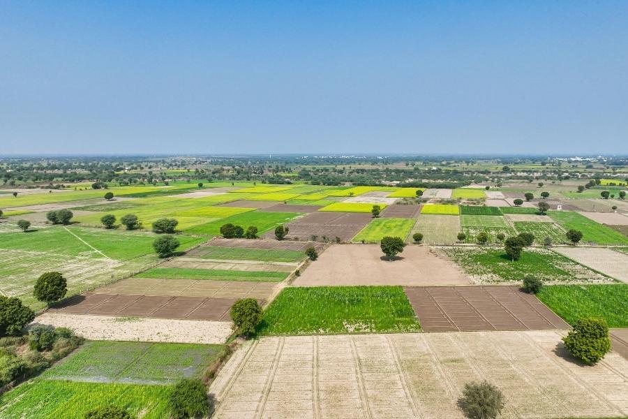 Complete Guide to Israel's Seasons | BIU International School